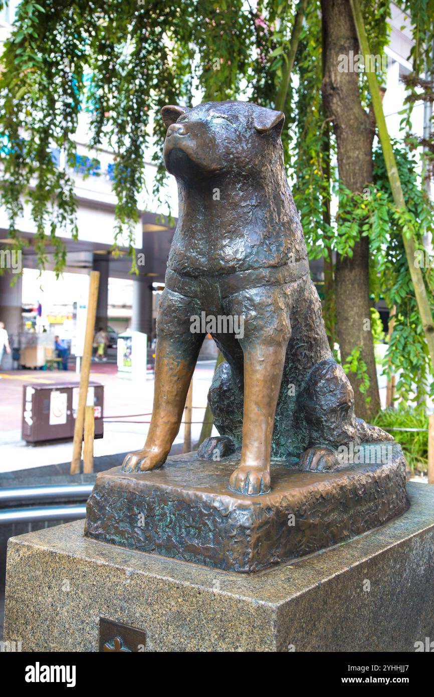 Statue of loyal dog Hachiko Stock Photo - Alamy