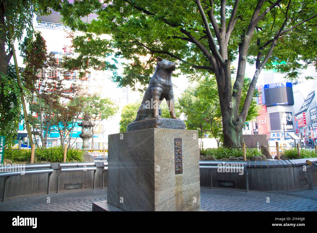 Statue of loyal dog Hachiko Stock Photo - Alamy