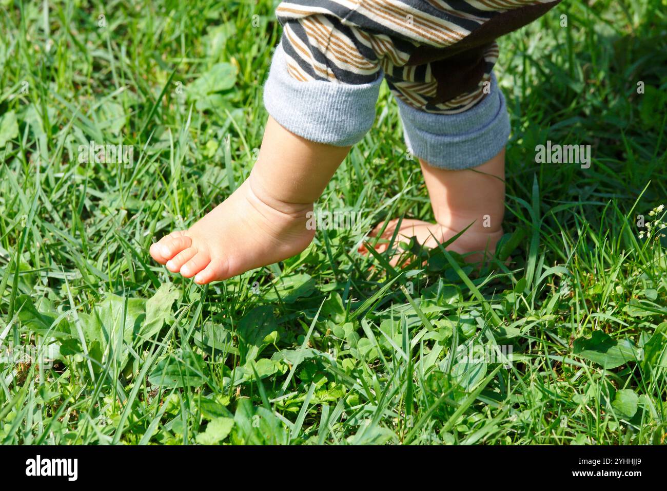 Barefoot human hi-res stock photography and images - Alamy