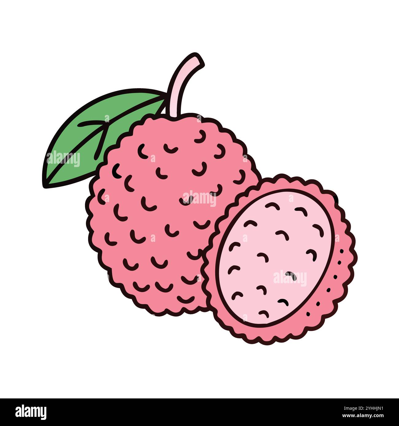 simple vector illustration of a lychee, in a simple and clean style ...