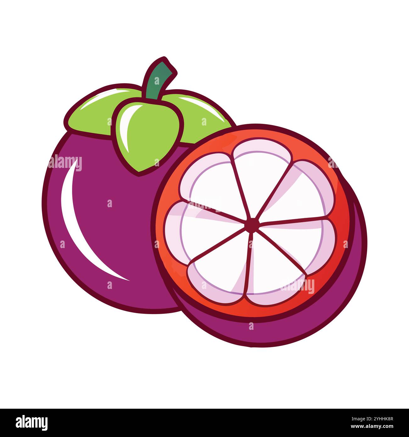 simple vector illustration of a mangosteen, in a simple and clean style ...