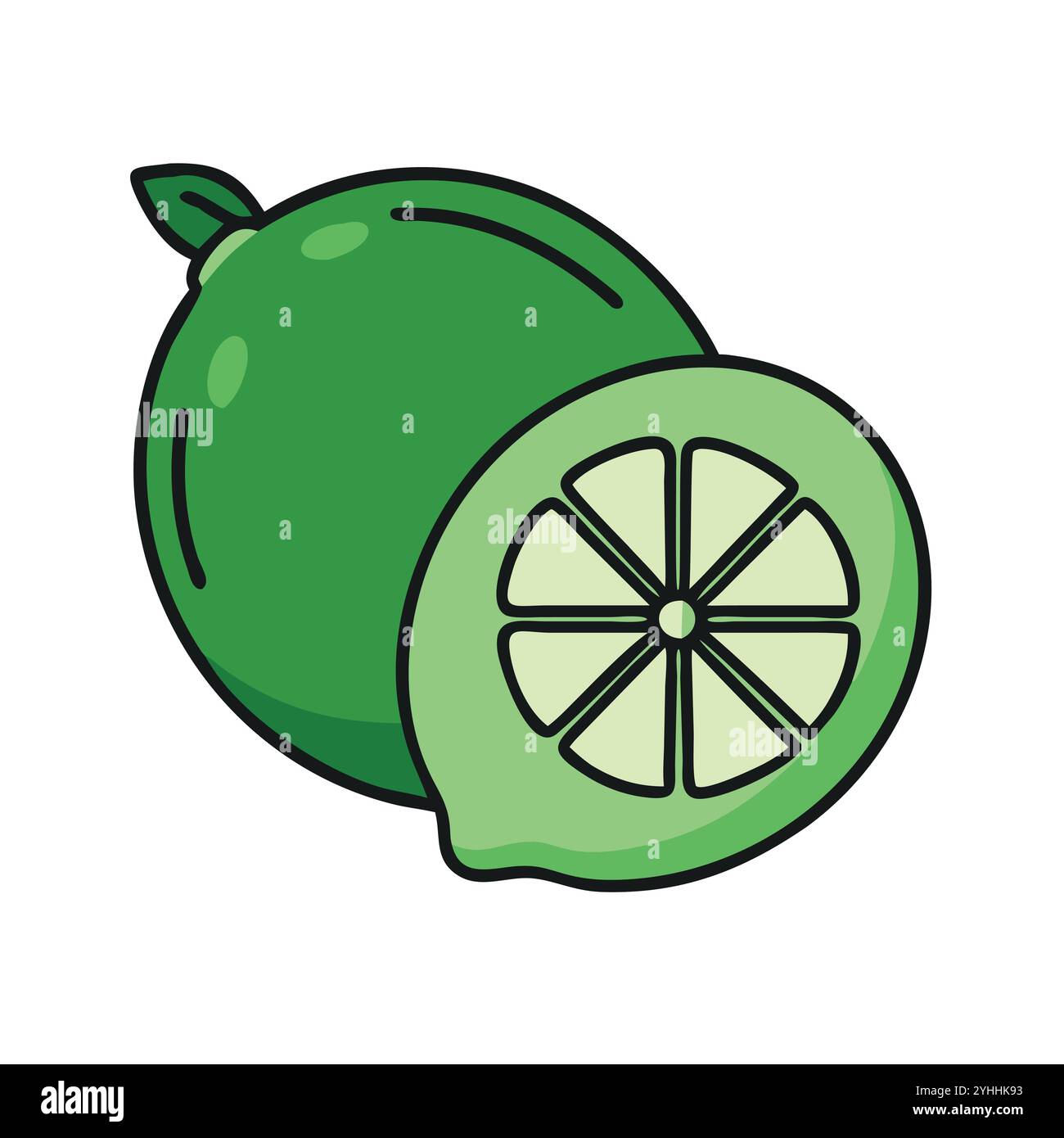 simple vector illustration of a lime, in a simple and clean style ...