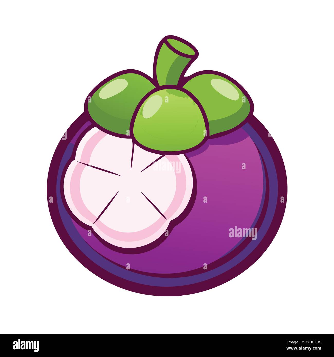 simple vector illustration of a mangosteen, in a simple and clean style ...