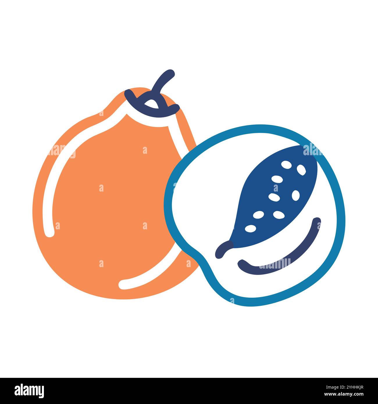 simple vector illustration of a medlar, in a simple and clean style, suitable for food and ...