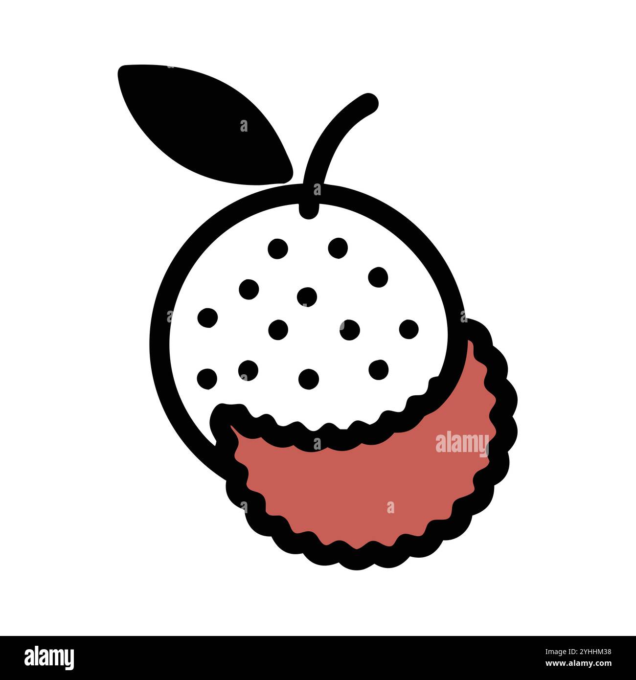 simple vector illustration of a lychee, in a simple and clean style ...