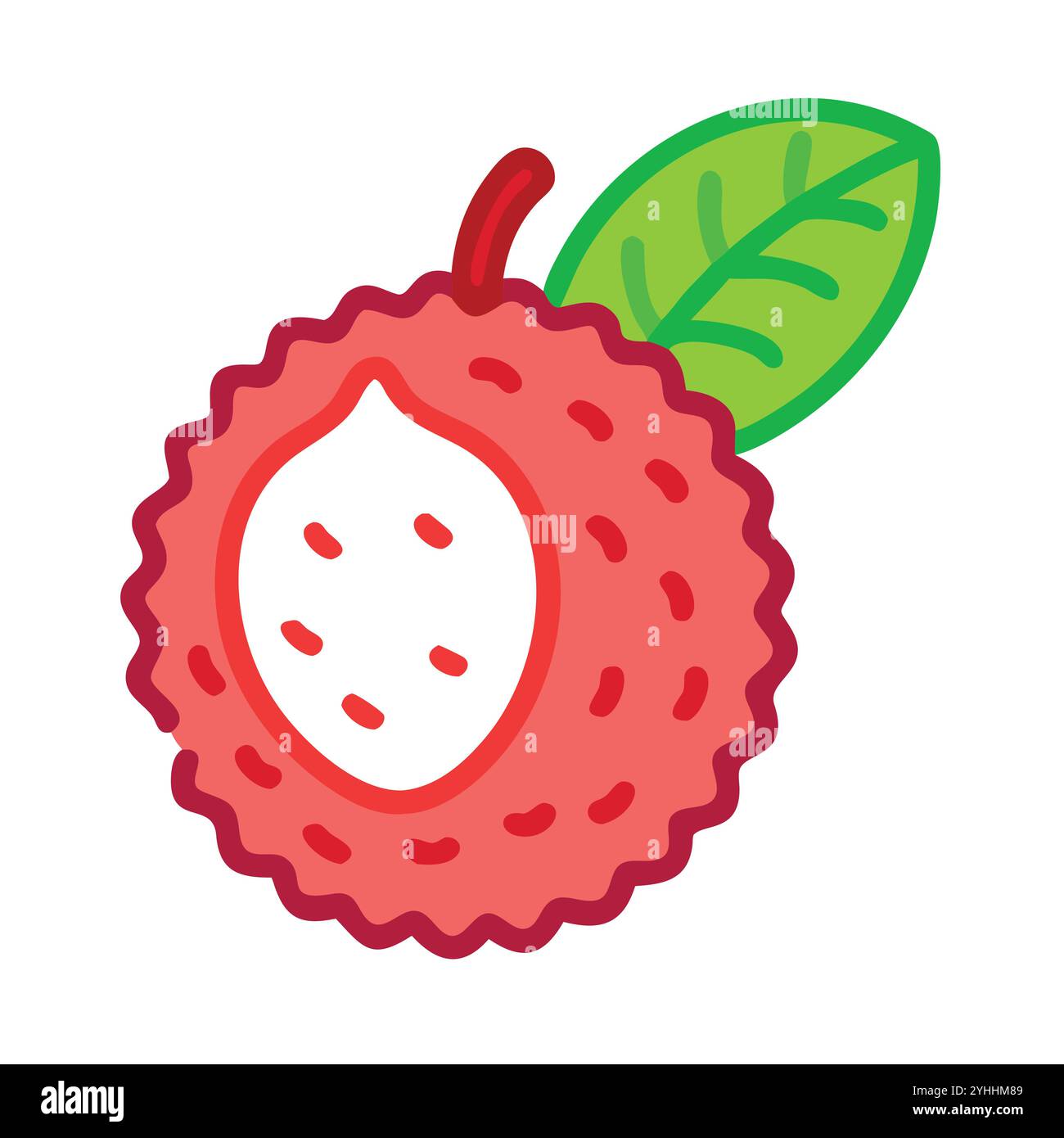simple vector illustration of a lychee, in a simple and clean style ...