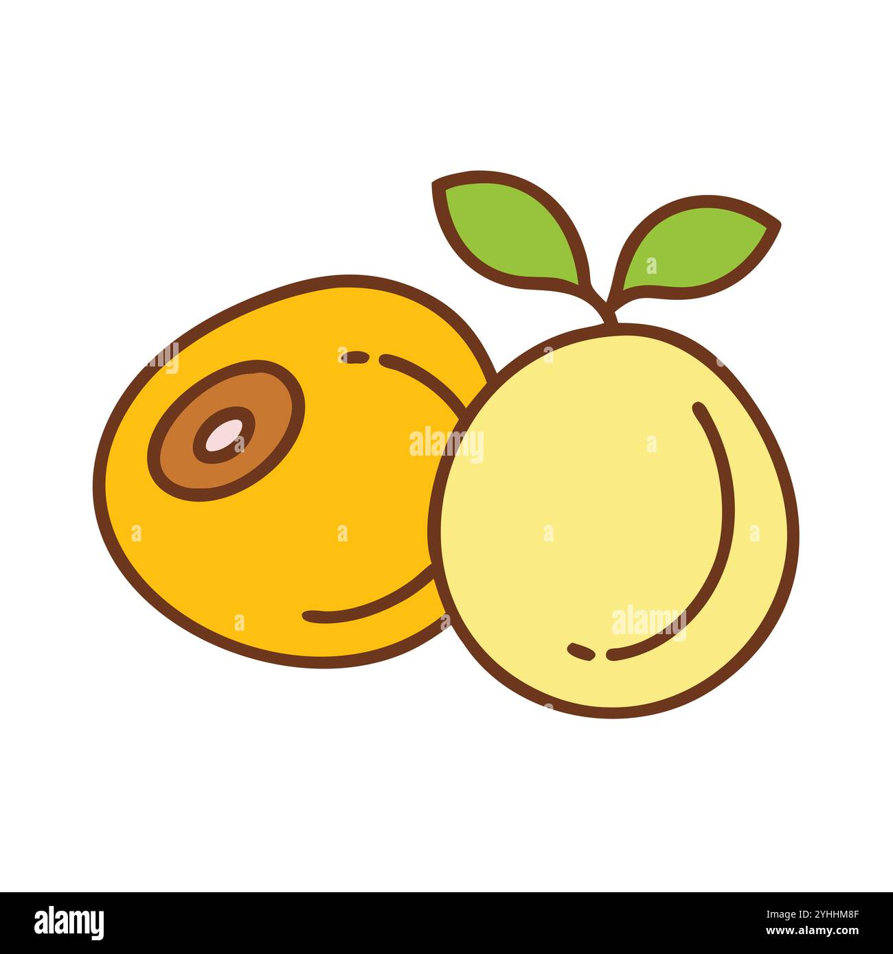 simple vector illustration of a marula, in a simple and clean style ...