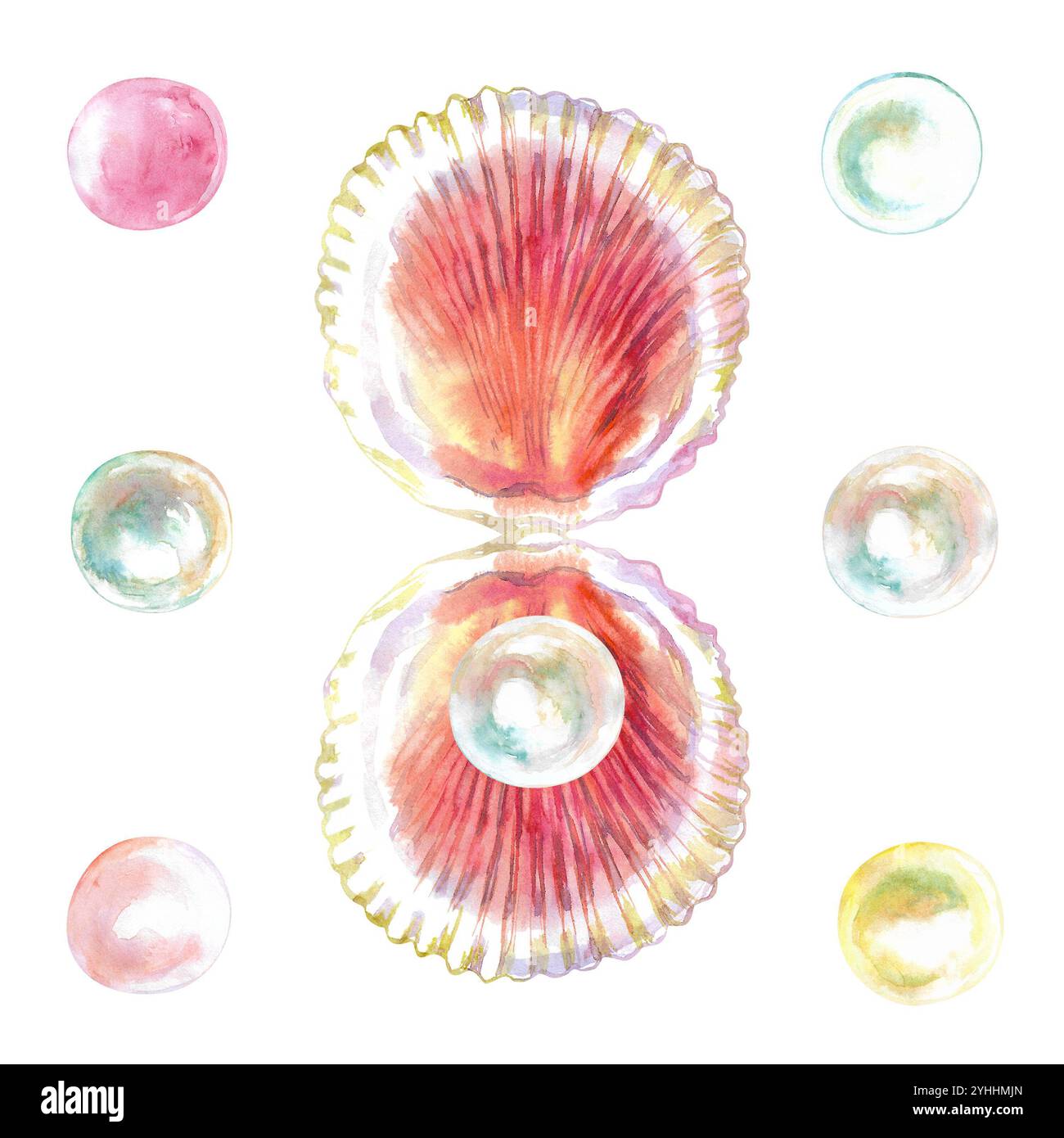 Pattern of scallop, bivalve marine mollusk, grooved shell with pearls ...
