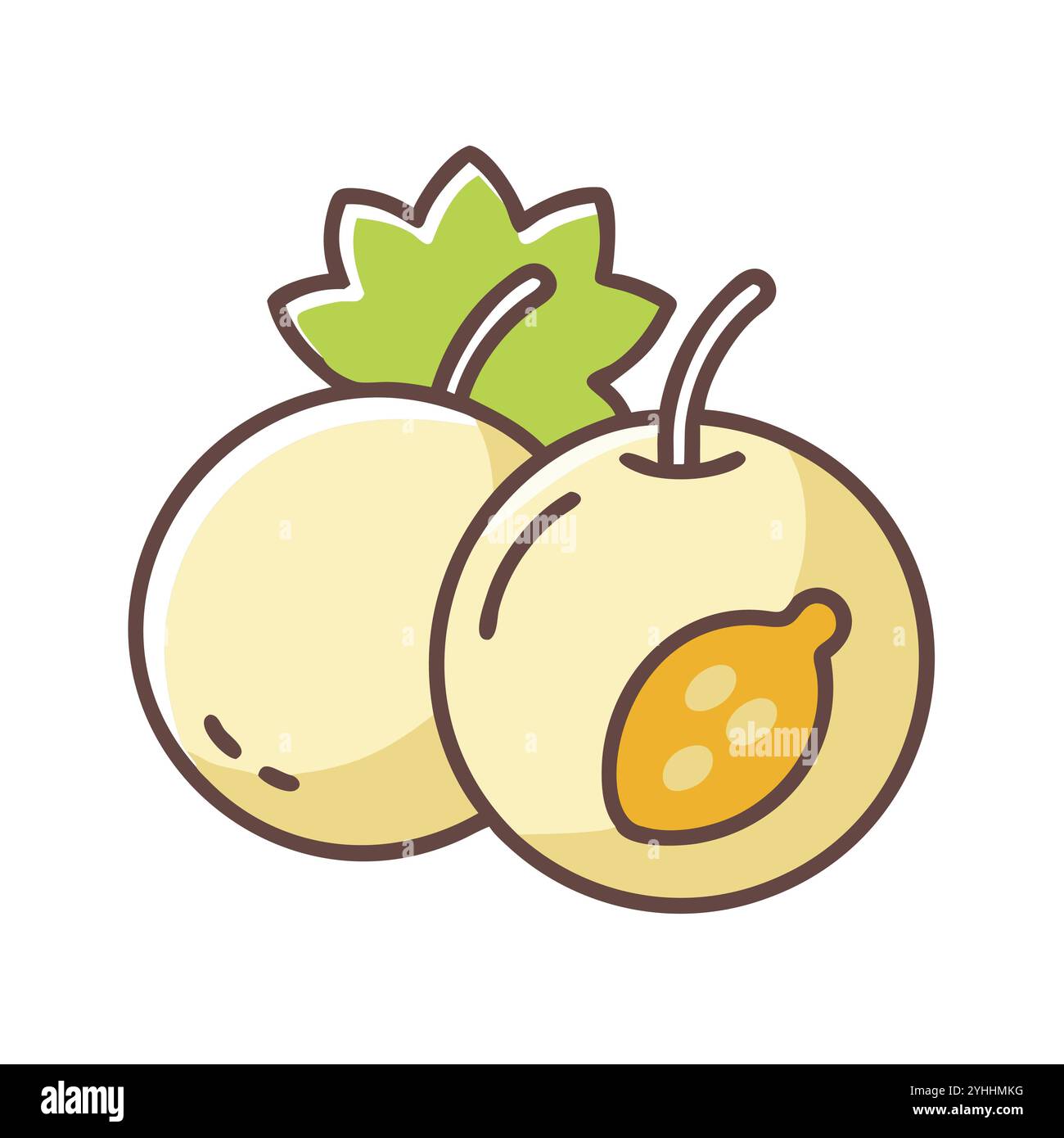 simple vector illustration of a marula, in a simple and clean style ...
