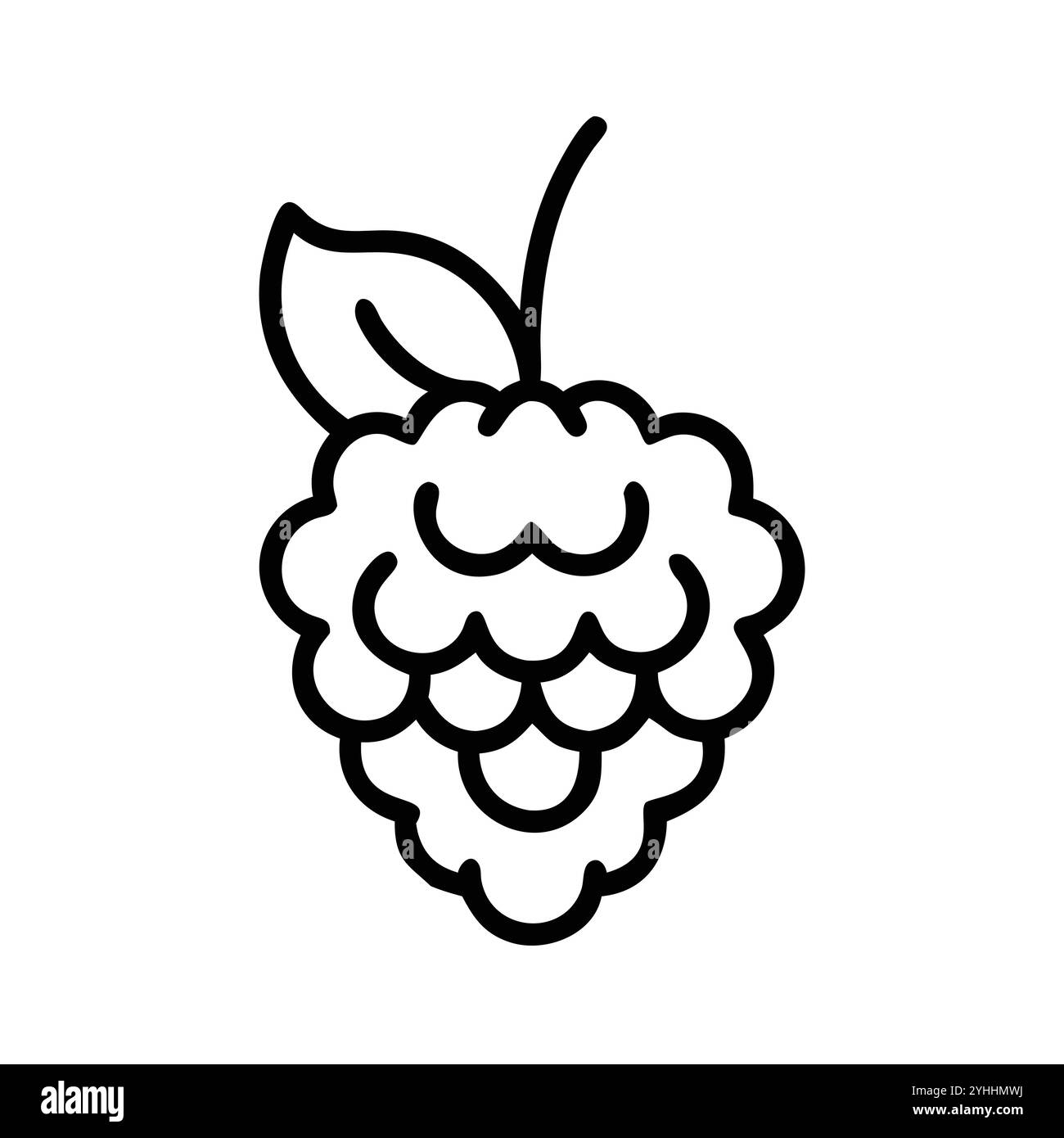 simple vector illustration of a mulberry, in a simple and clean style ...