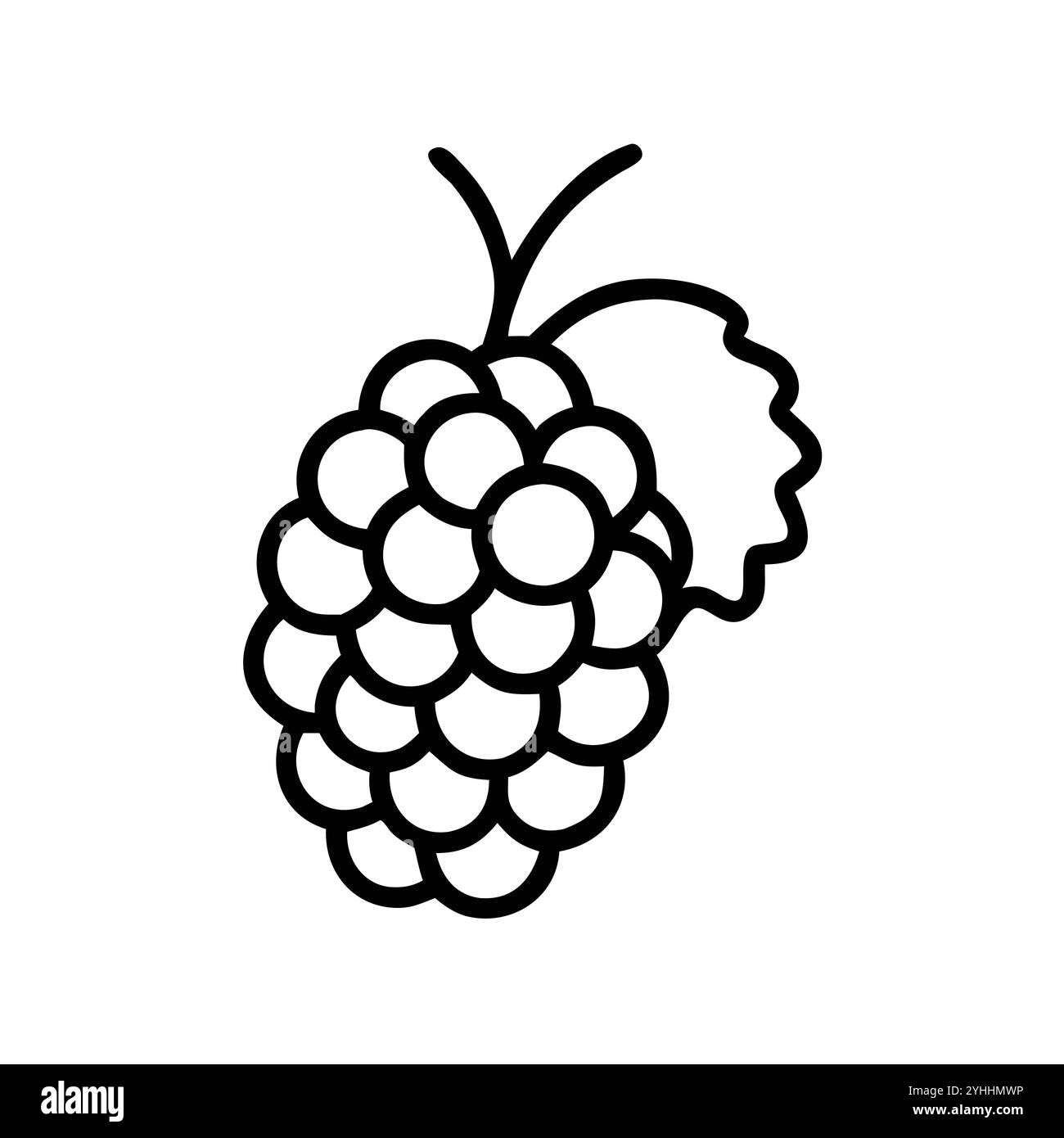 simple vector illustration of a mulberry, in a simple and clean style ...