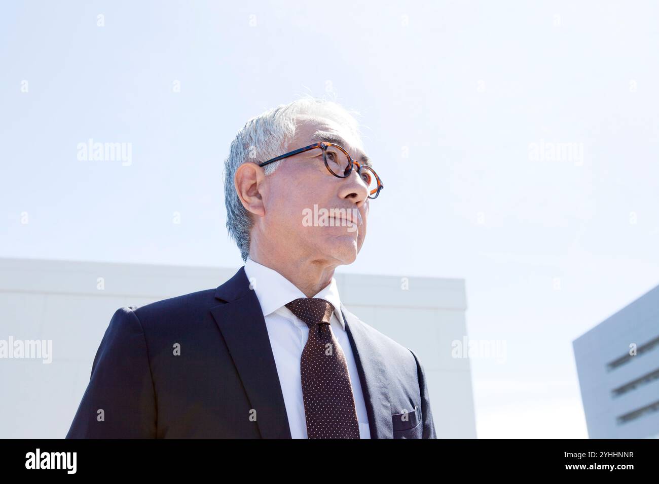 Low angle middle-aged businessman portrait Stock Photo - Alamy