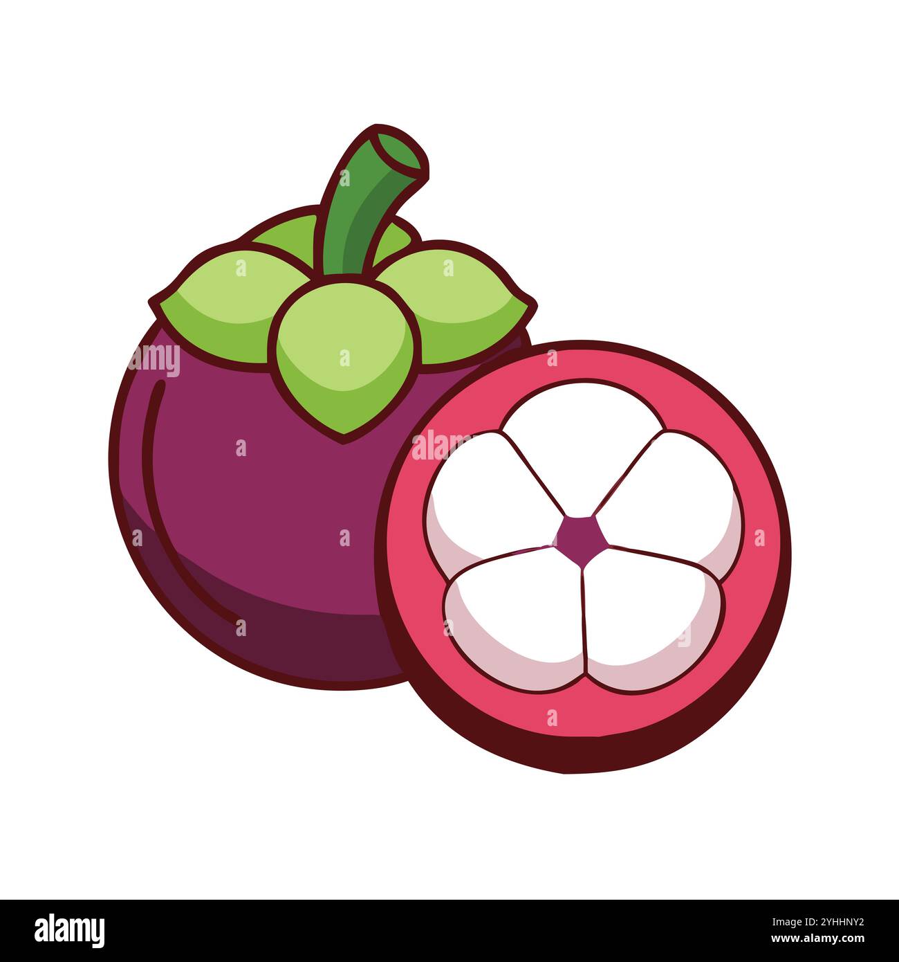 simple vector illustration of a mangosteen, in a simple and clean style ...
