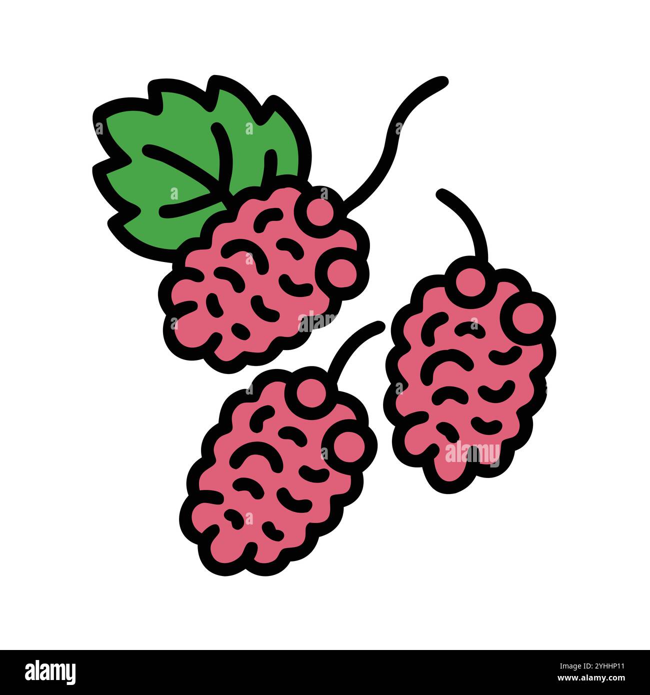 simple vector illustration of a mulberry, in a simple and clean style ...