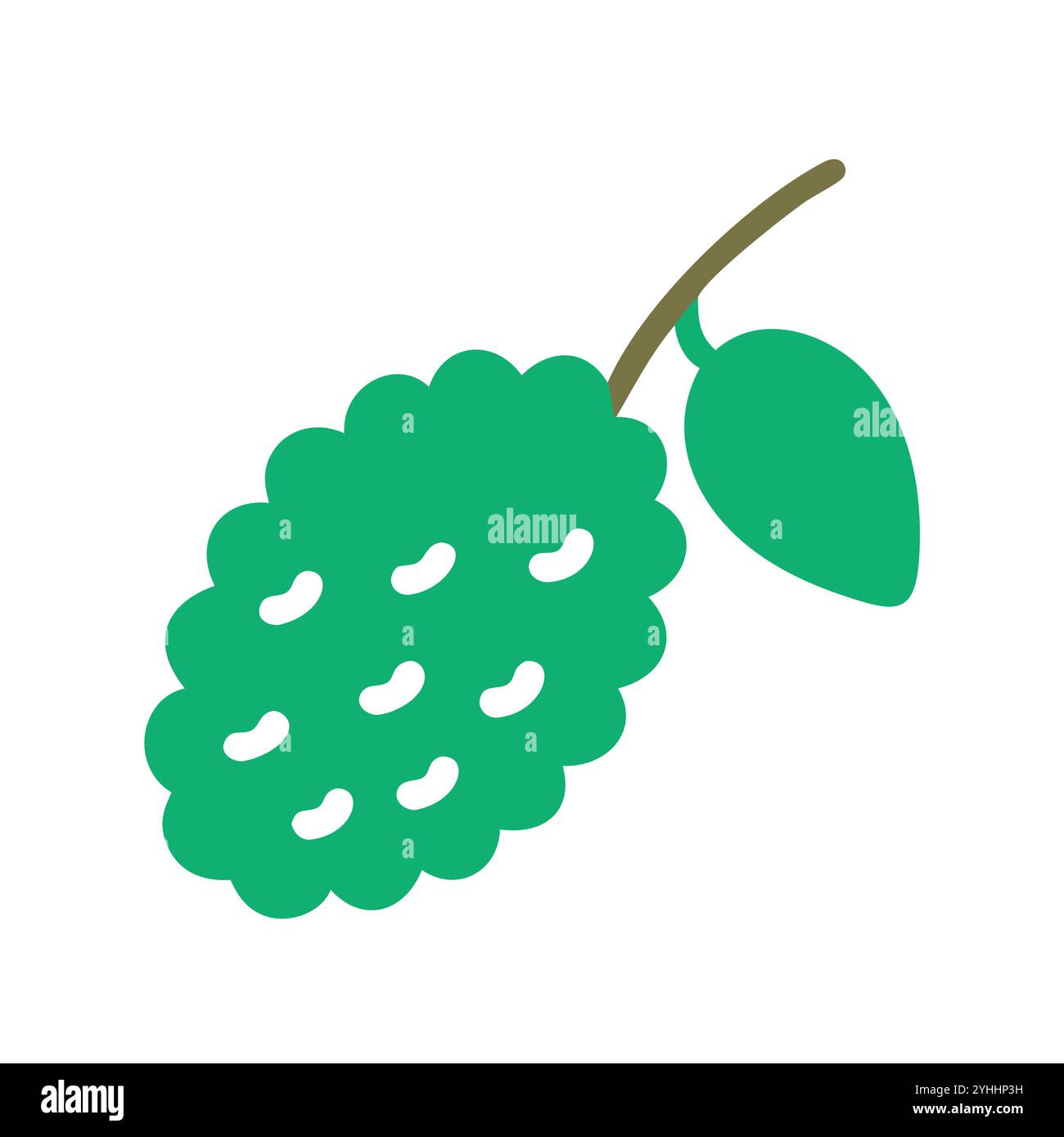 simple vector illustration of a mulberry, in a simple and clean style ...