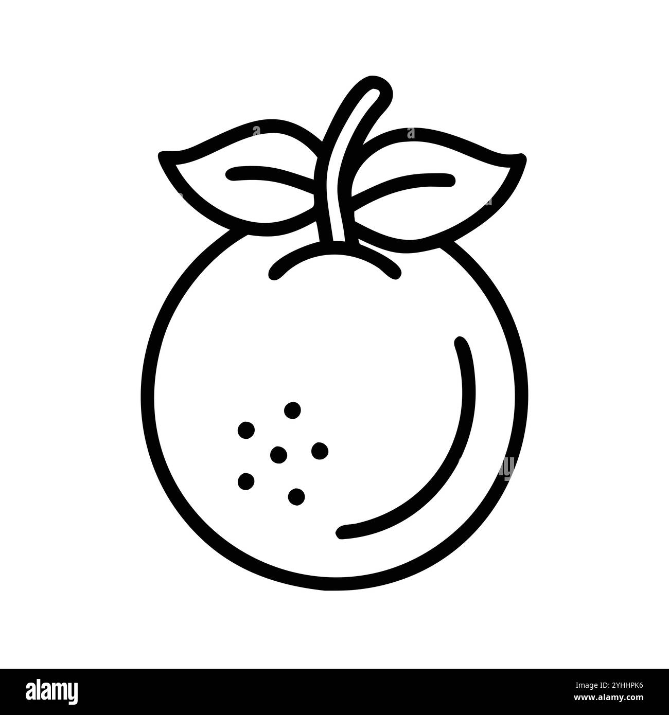 simple vector illustration of a nance, in a simple and clean style ...