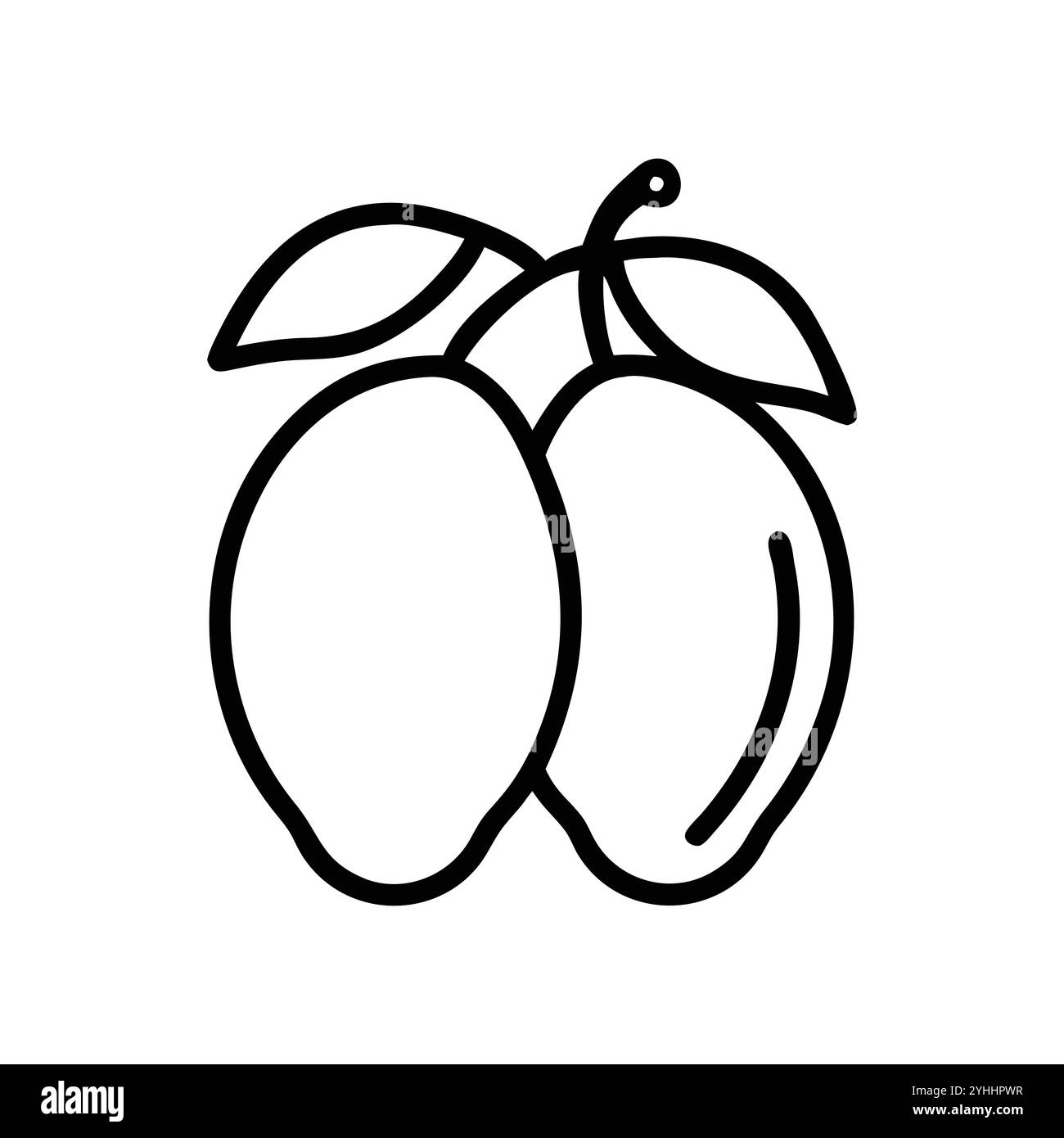 simple vector illustration of a miracle fruit, in a simple and clean ...