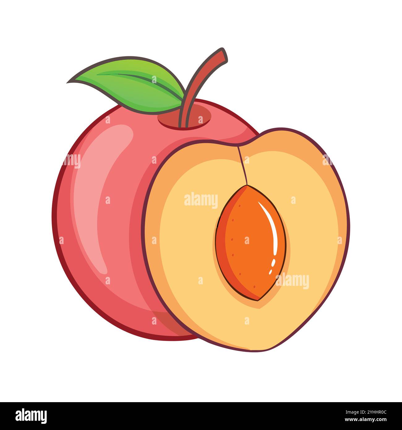 simple vector illustration of a nectarine, in a simple and clean style ...