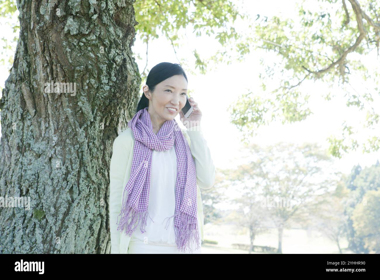 Woman under tree using hi-res stock photography and images - Alamy