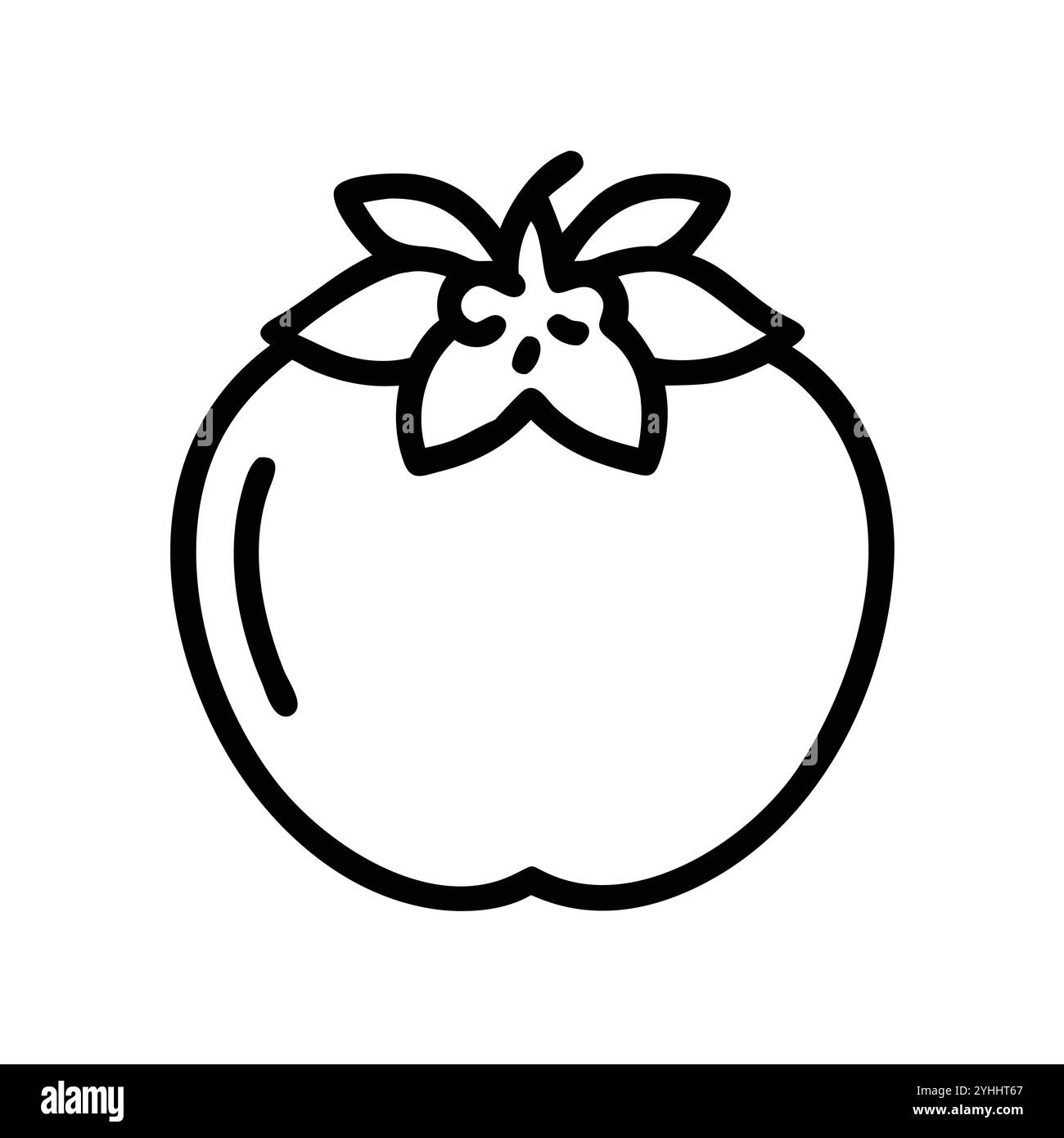 simple vector illustration of a persimmon, in a simple and clean style ...