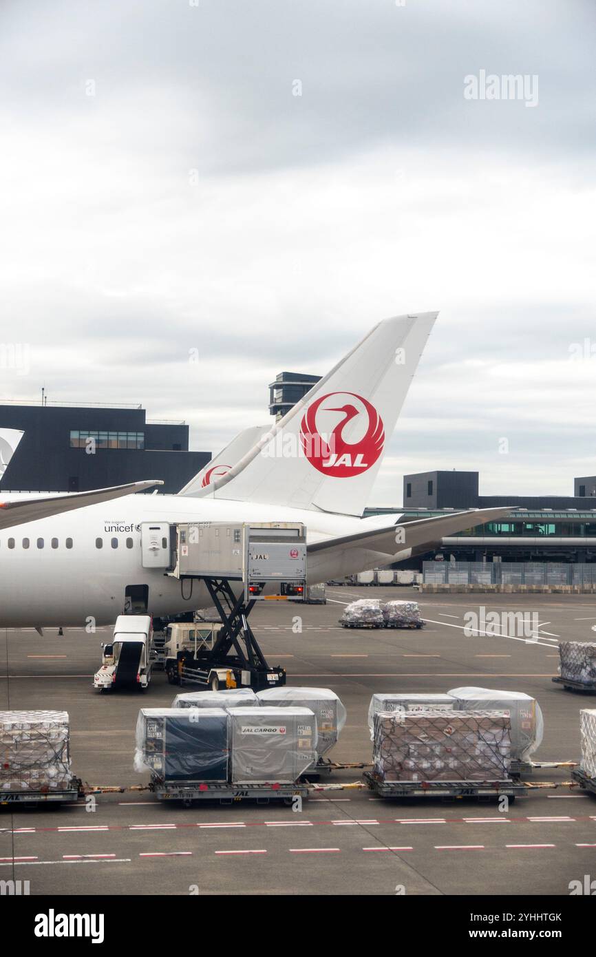 Japan airlines airplane hi-res stock photography and images - Alamy