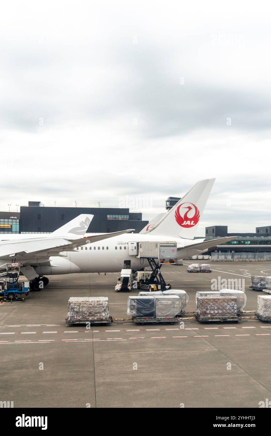 Japan airlines airplane hi-res stock photography and images - Alamy