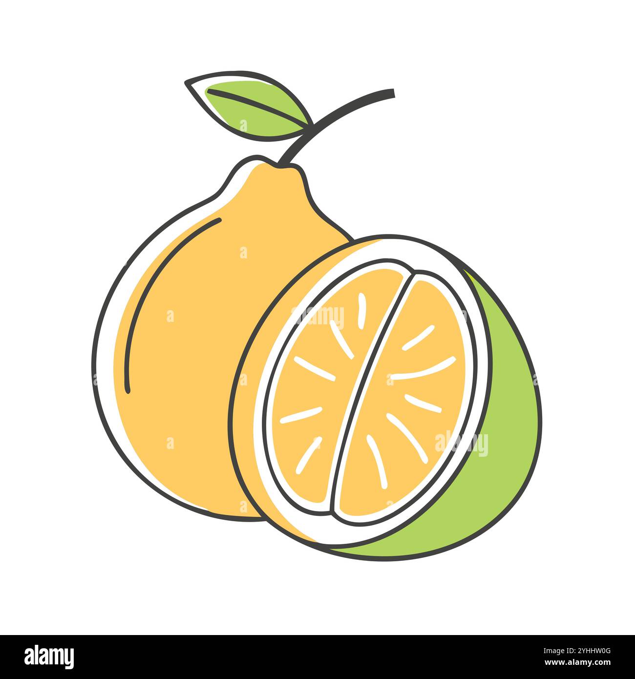 simple vector illustration of a pomelo, in a simple and clean style ...