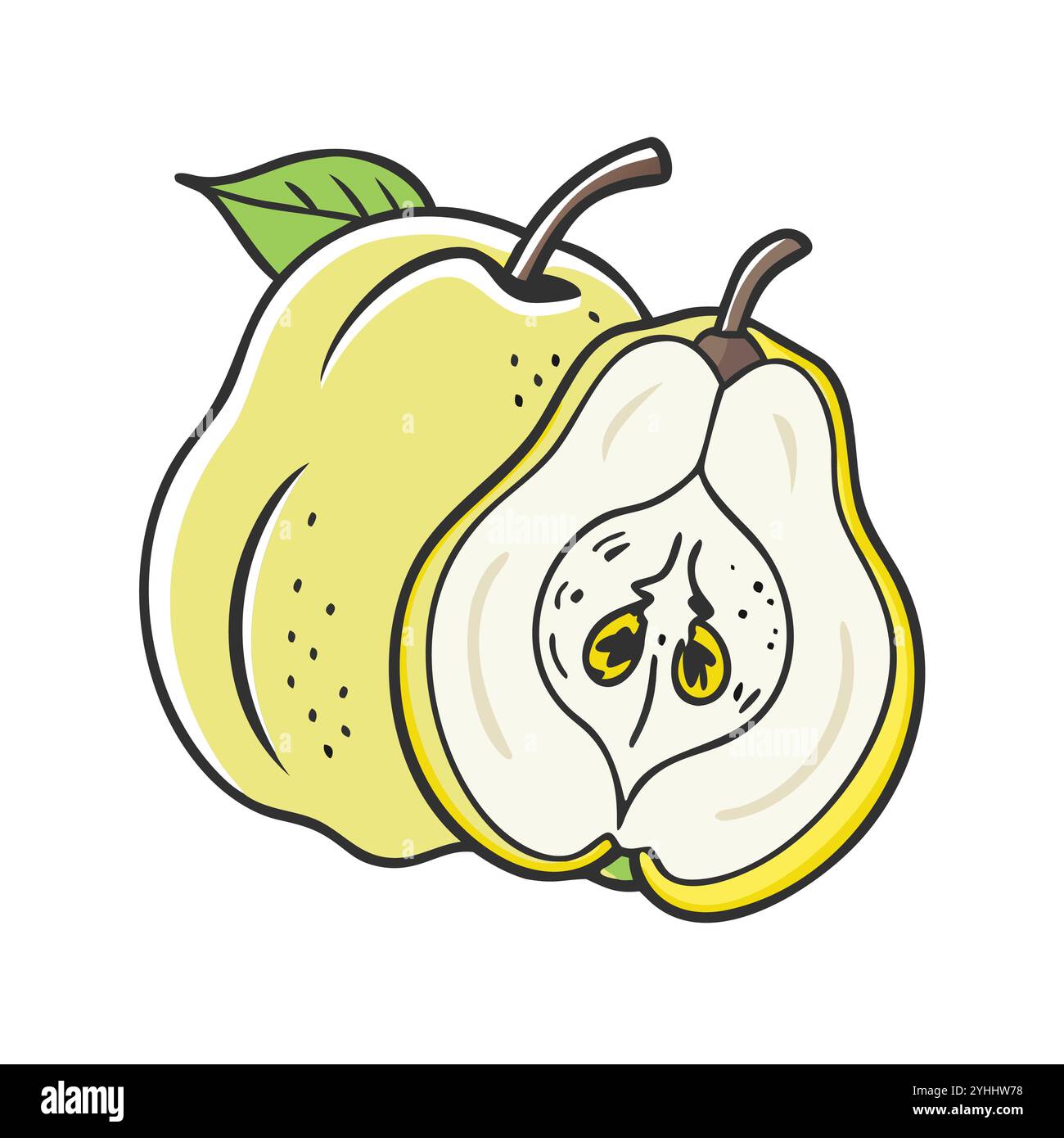 simple vector illustration of a quince, in a simple and clean style ...