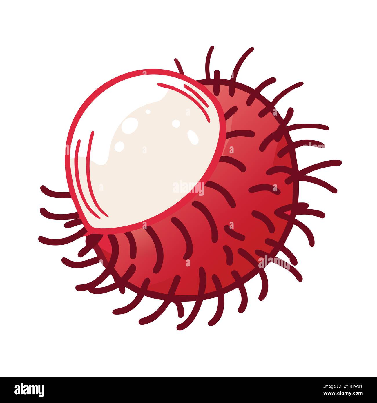 simple vector illustration of a rambutan, in a simple and clean style ...
