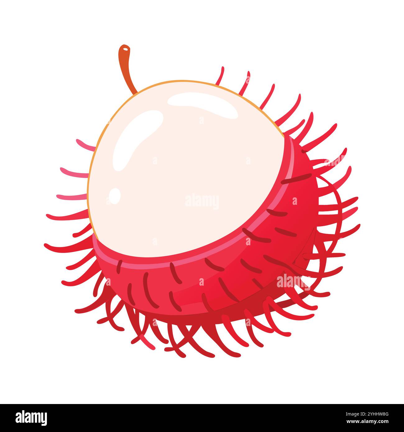 simple vector illustration of a rambutan, in a simple and clean style ...