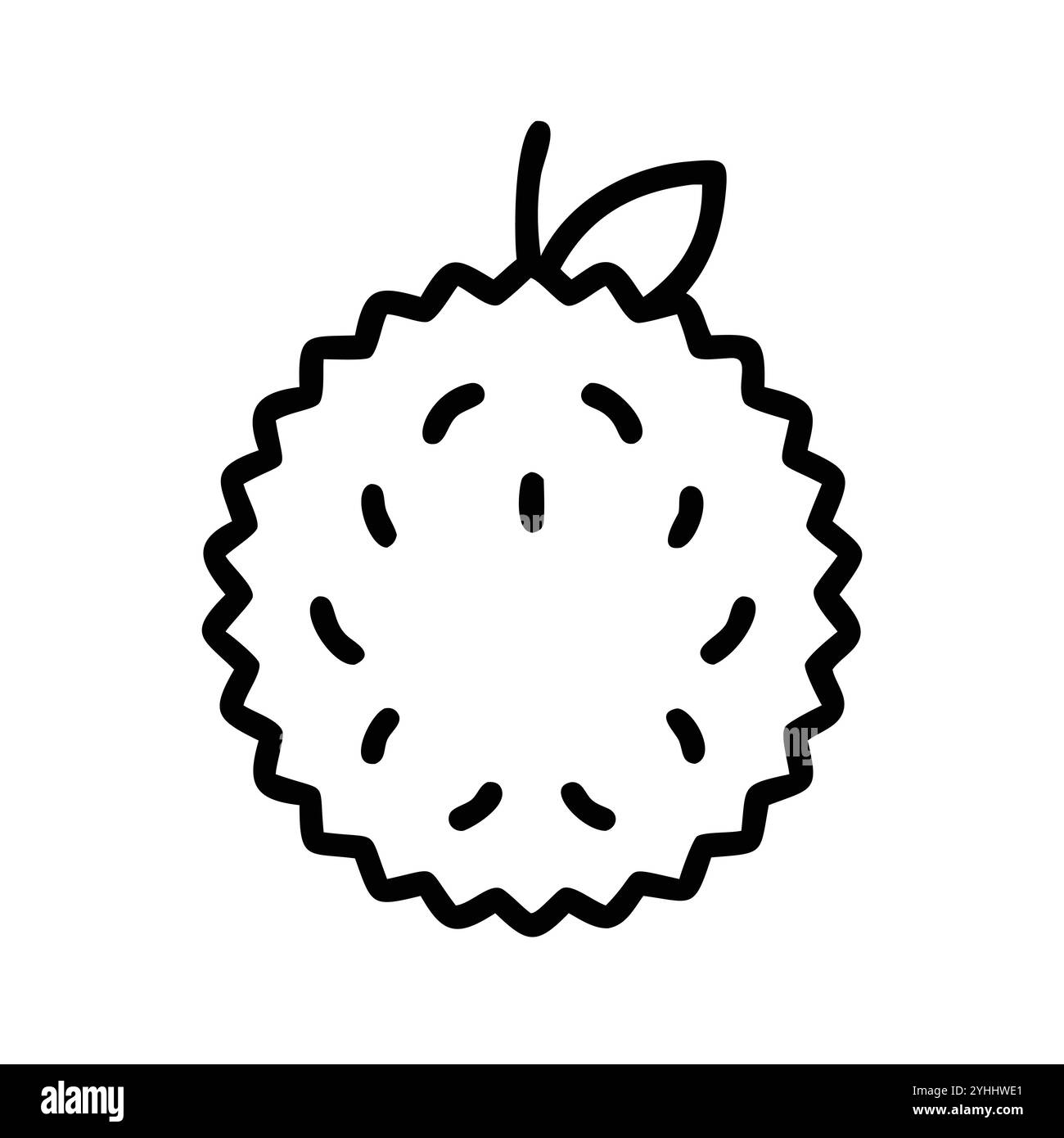 simple vector illustration of a rambutan, in a simple and clean style ...