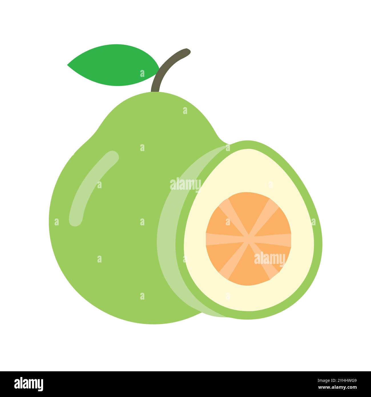 simple vector illustration of a pomelo, in a simple and clean style ...