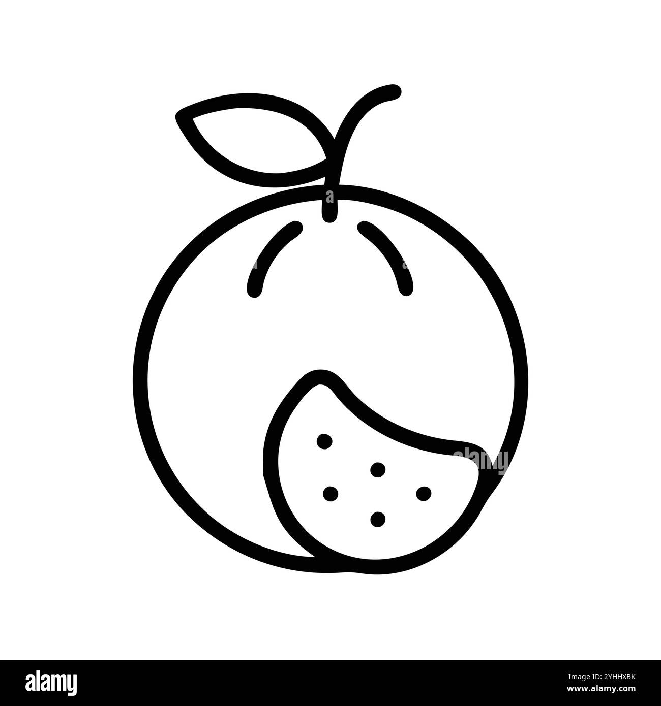 simple vector illustration of a pomelo, in a simple and clean style ...