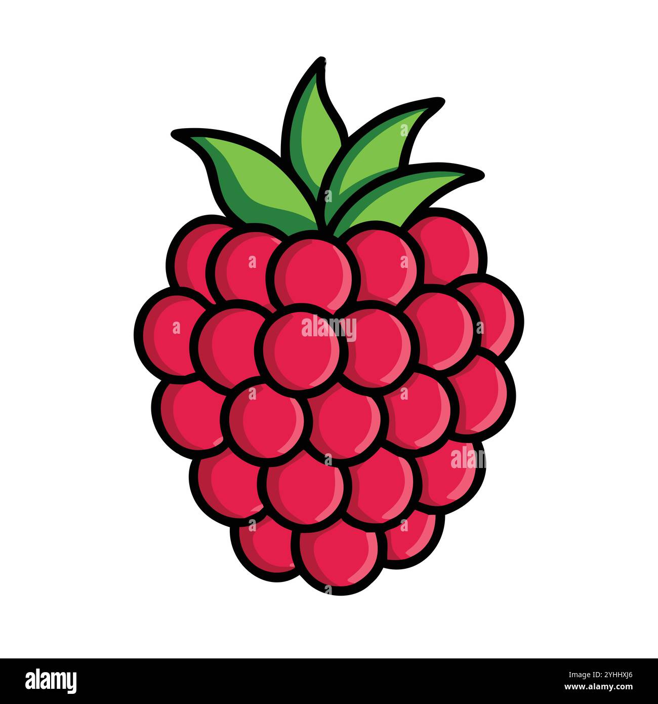 simple vector illustration of a raspberry, in a simple and clean style ...