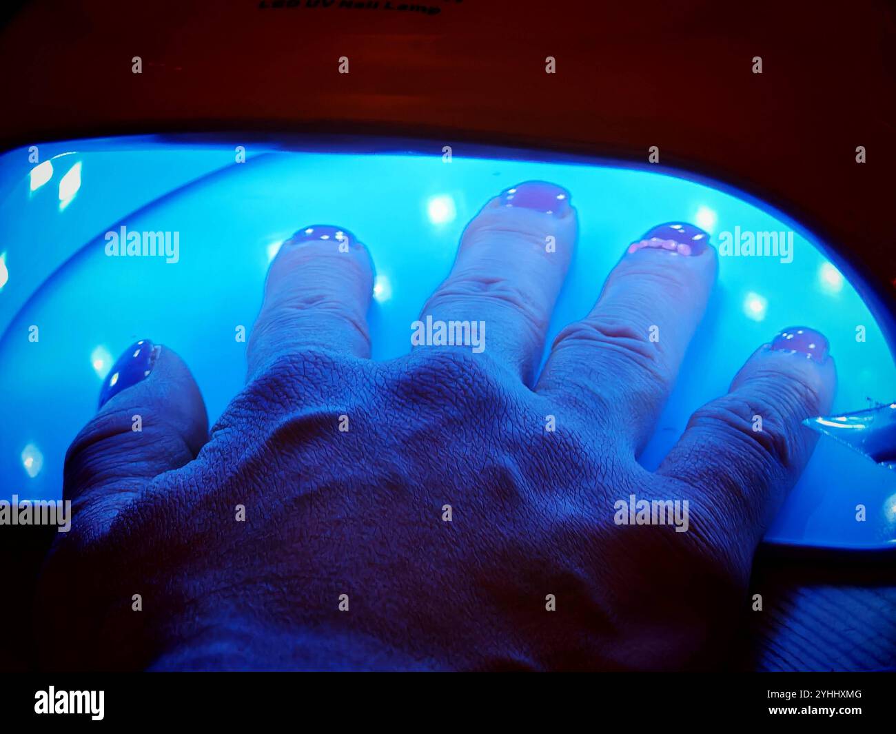 Finger anatomie hi-res stock photography and images - Alamy