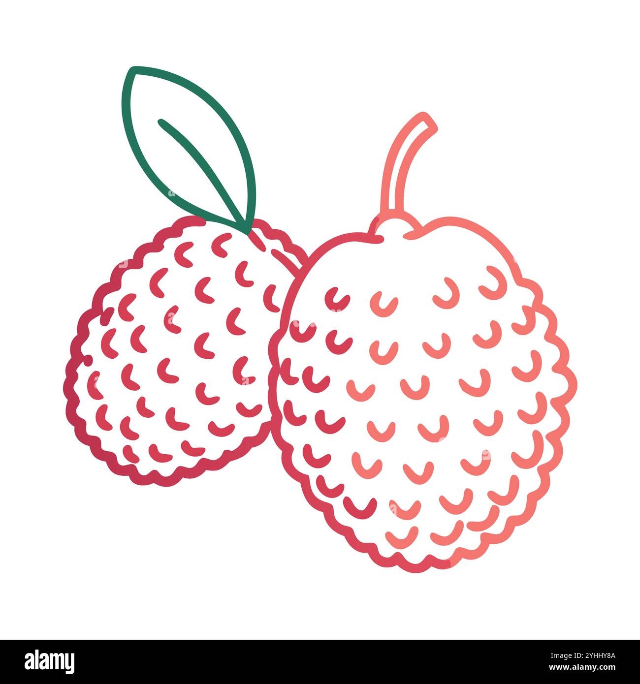 simple vector illustration of a lychee, in a simple and clean style ...