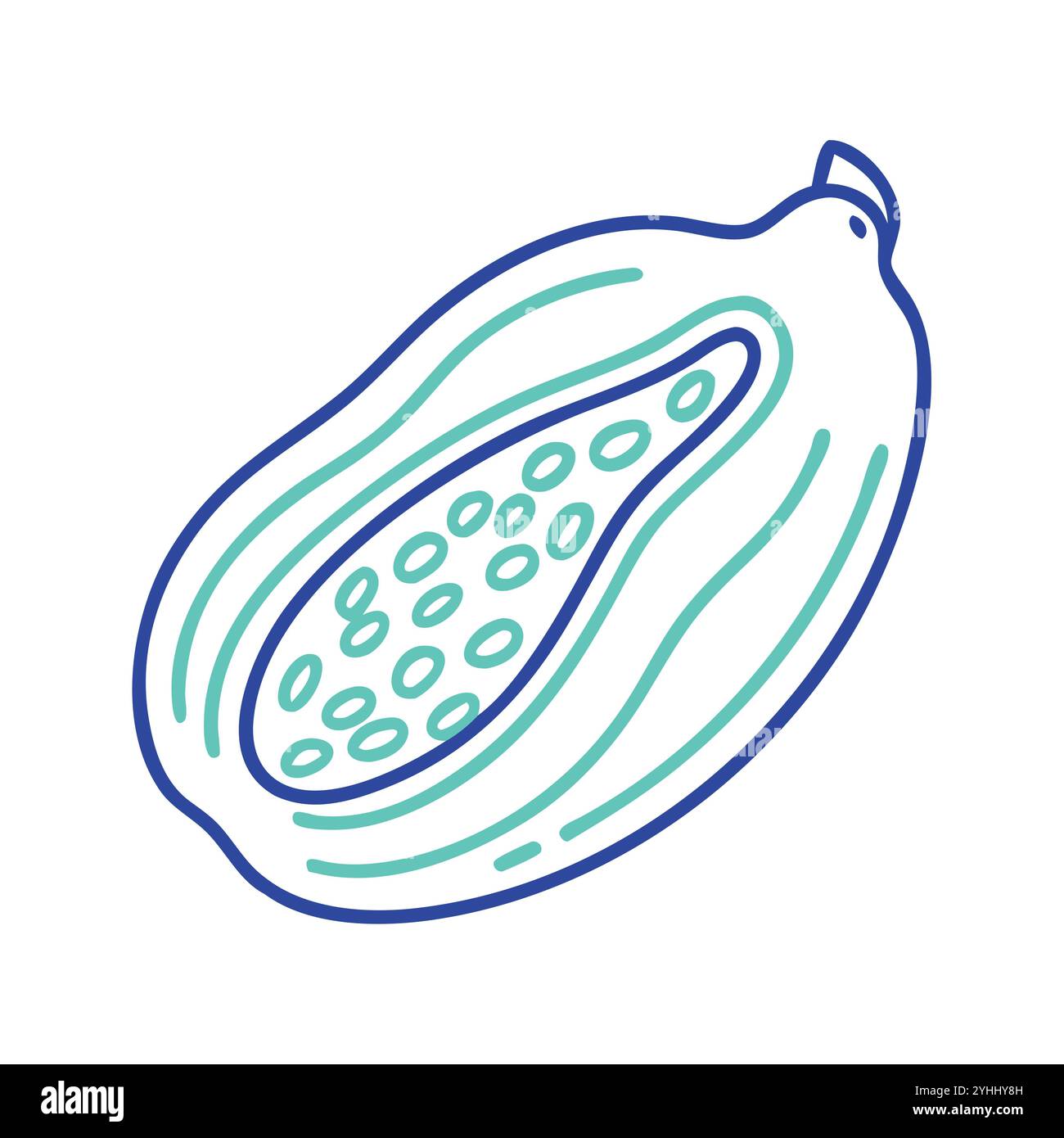 simple vector illustration of a papaya, in a simple and clean style ...