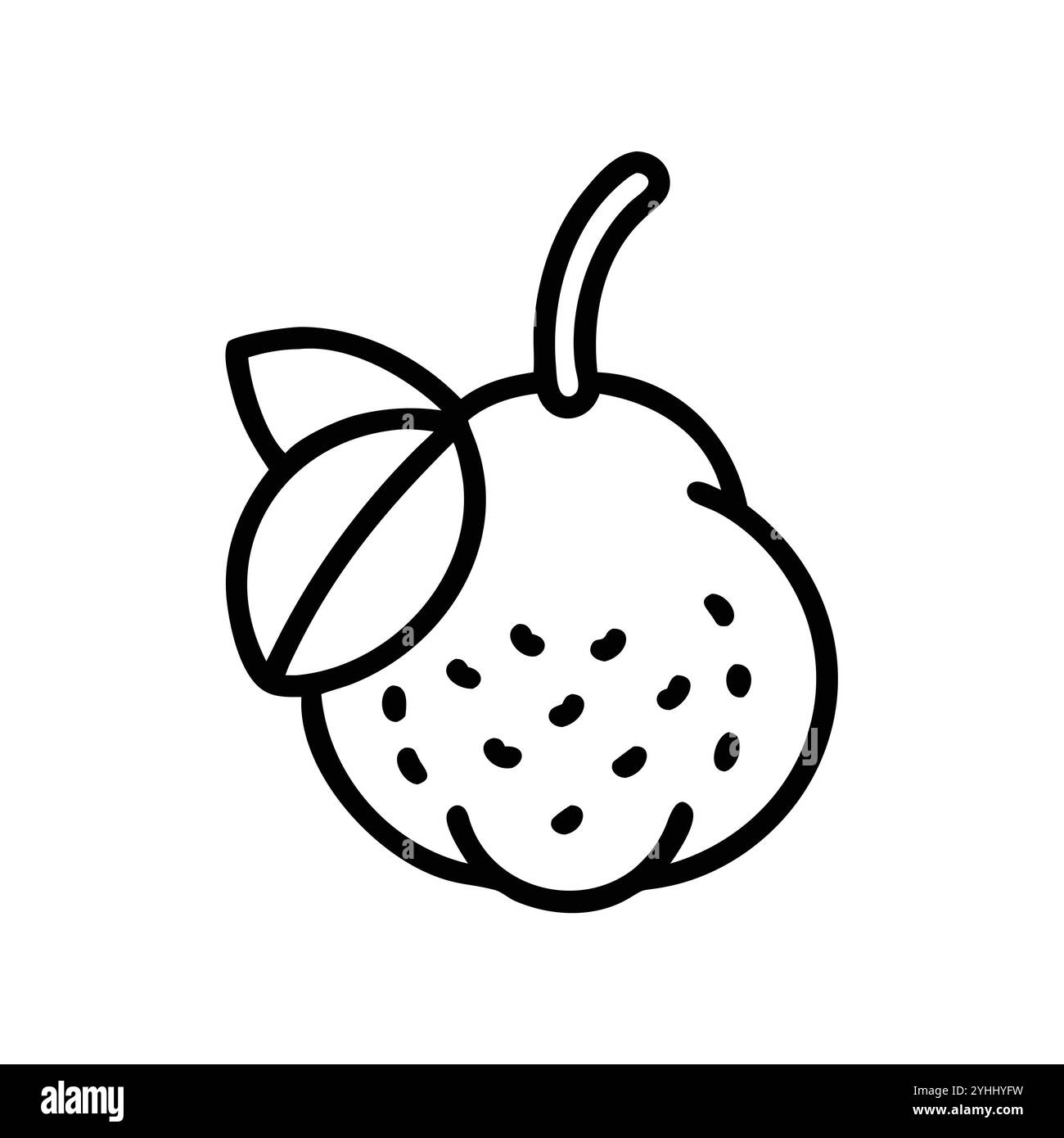 simple vector illustration of a lychee, in a simple and clean style ...