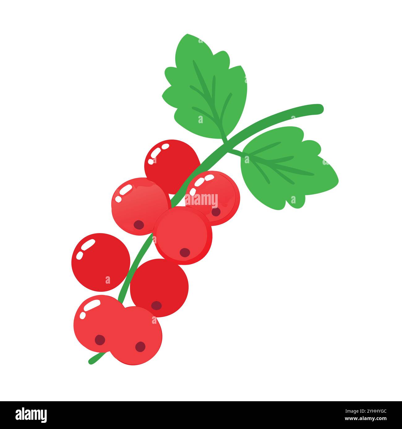 simple vector illustration of a redcurrant, in a simple and clean style ...