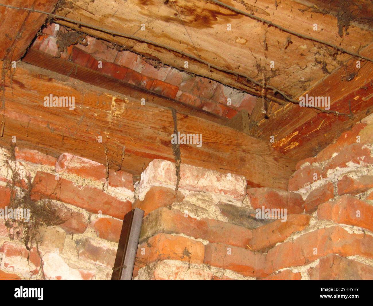 wood or timber construction in interior design, natural building ...