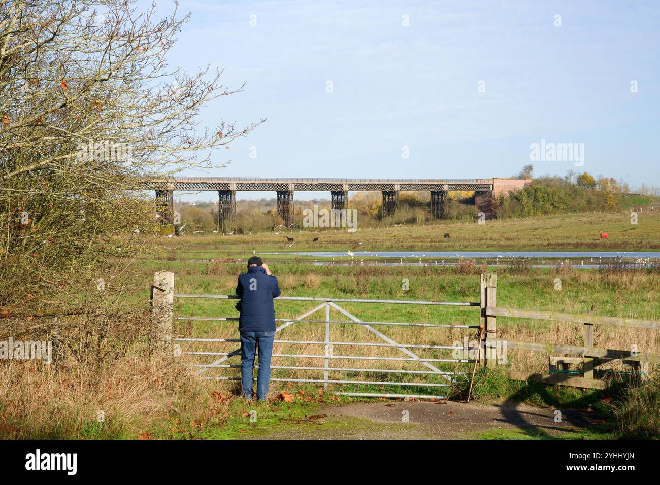 Bird watcher standing against a farm gate with Bennerley viaduct in the ...
