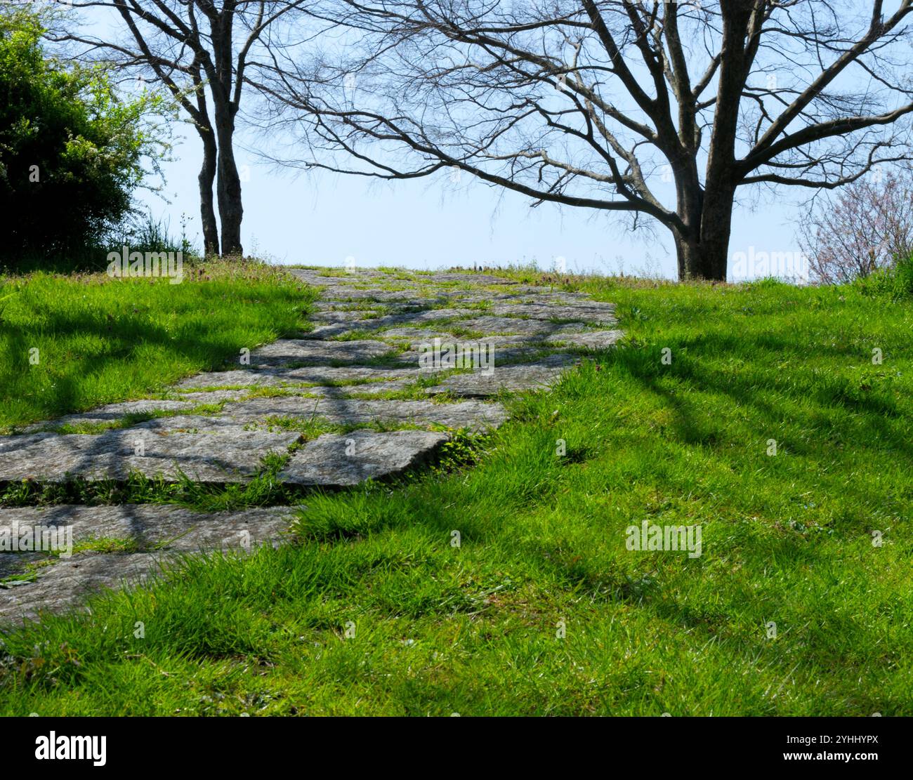 Spring sunshine and cobbled paths Stock Photo - Alamy