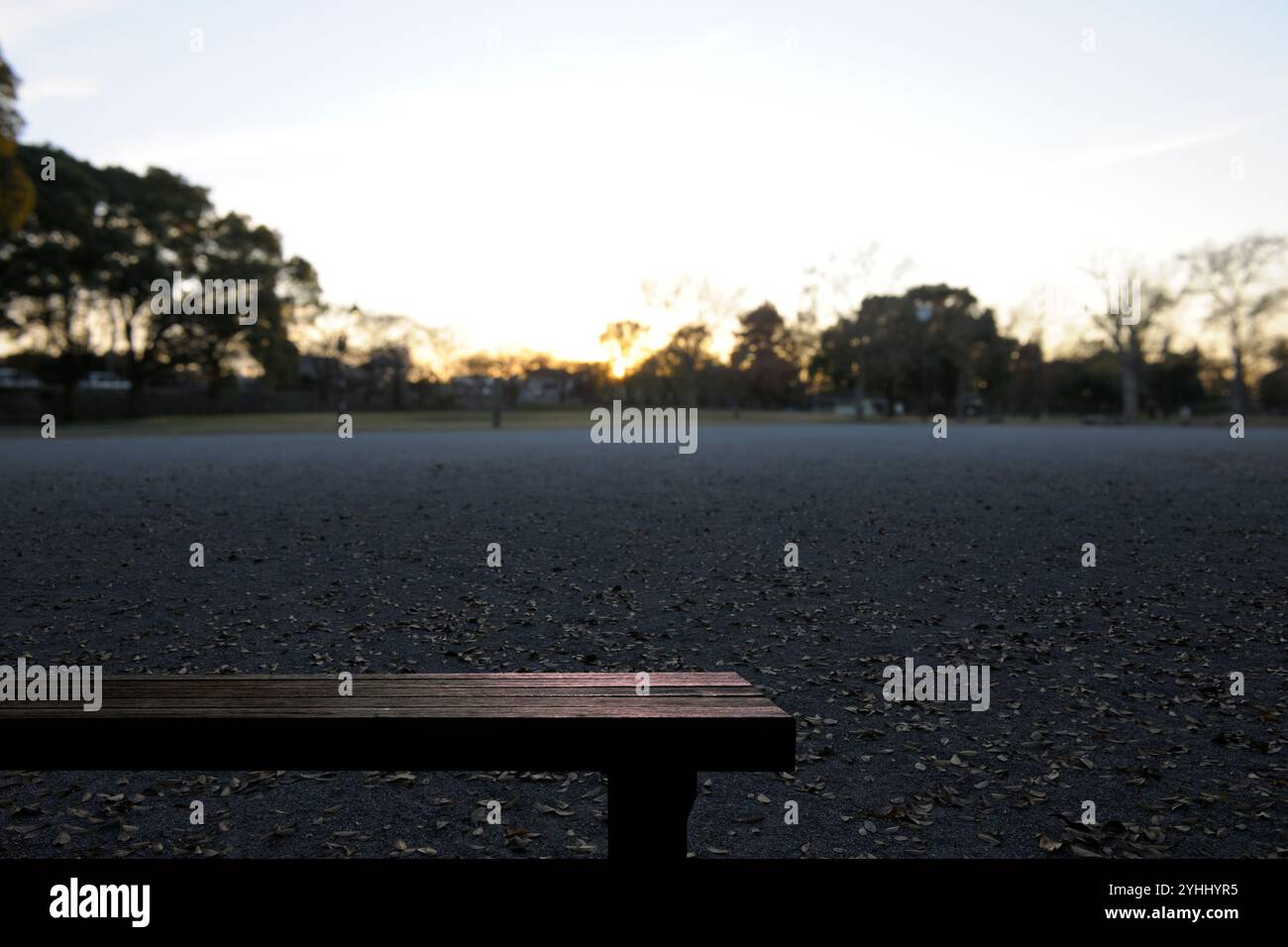 Park square and benches at dusk Stock Photo - Alamy