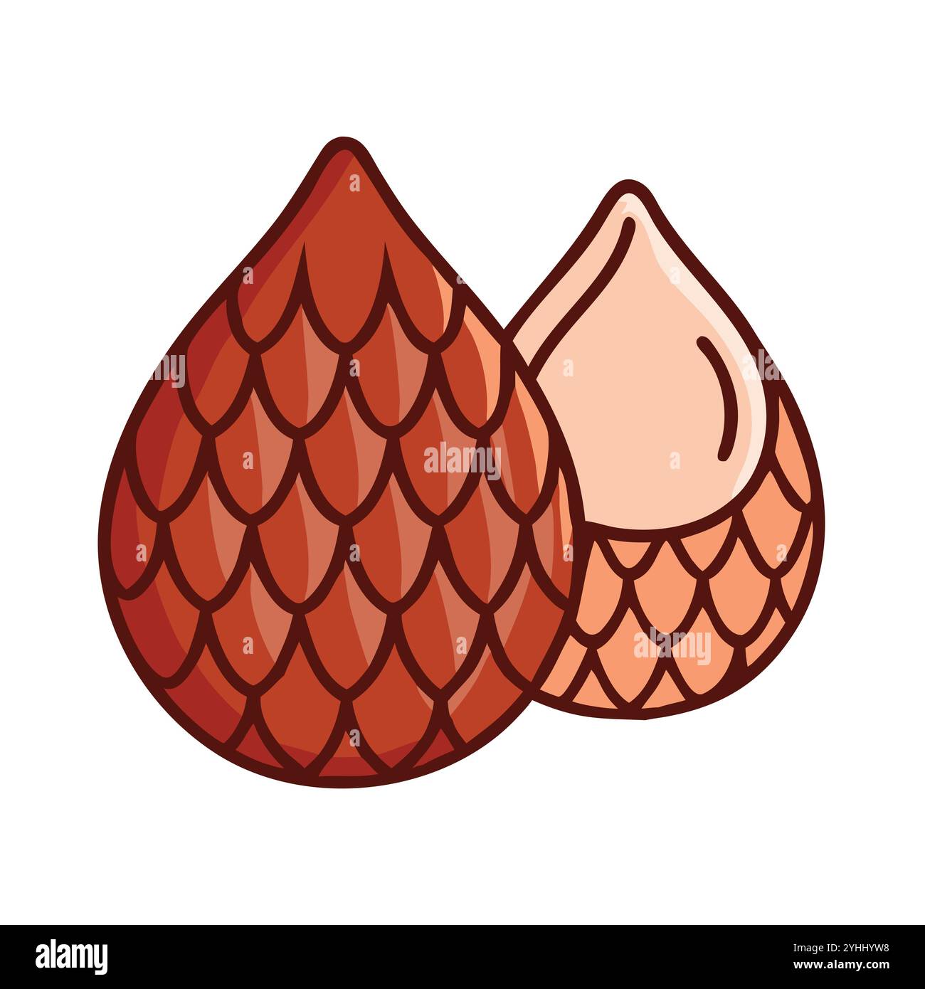 simple vector illustration of a salak snake fruit , in a simple and ...