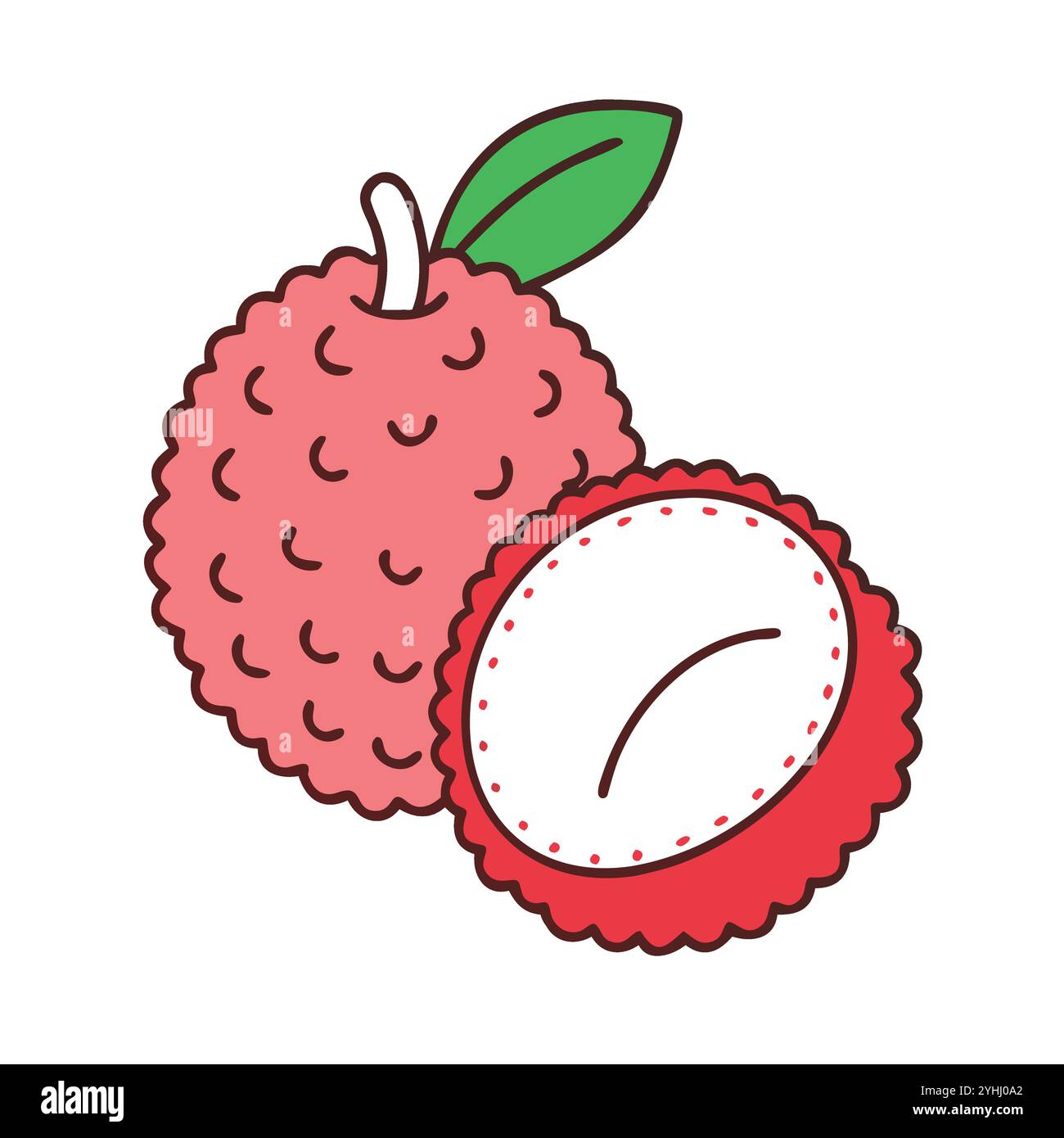 simple vector illustration of a lychee, in a simple and clean style ...