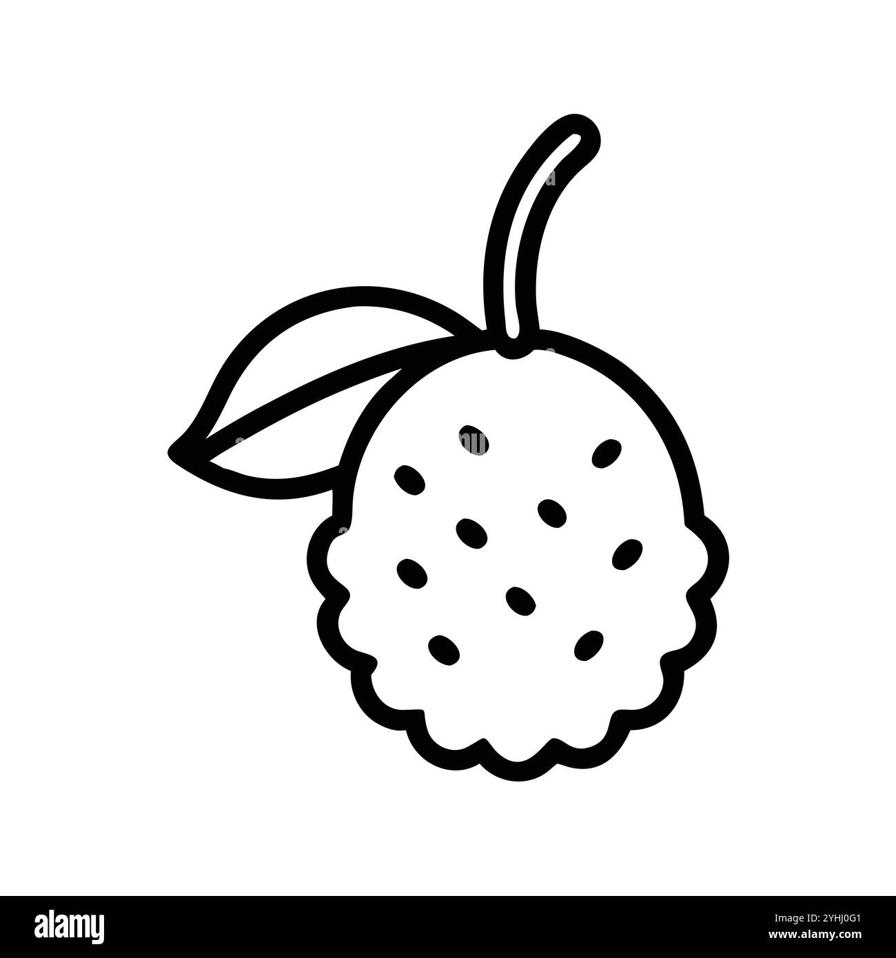 simple vector illustration of a lychee, in a simple and clean style ...