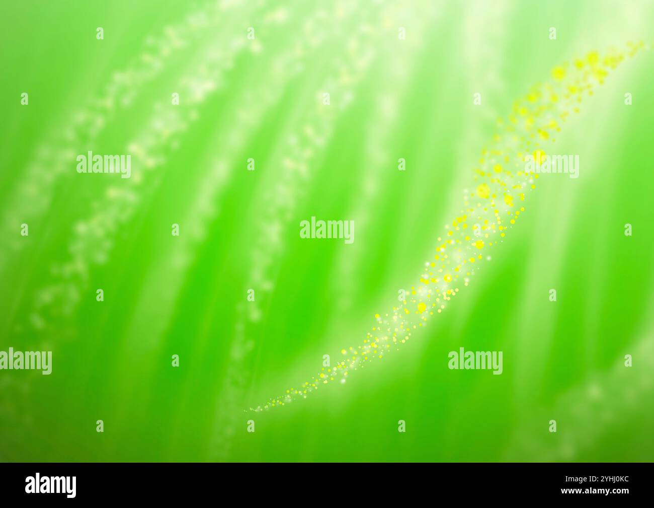 Abstract green flower hi-res stock photography and images - Alamy