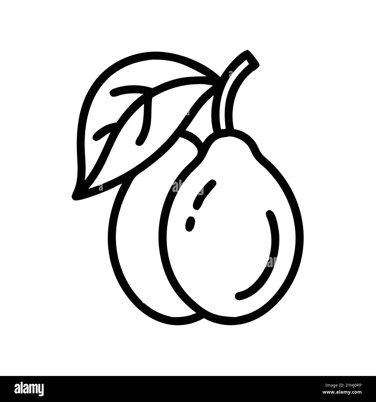 simple vector illustration of a miracle fruit, in a simple and clean ...