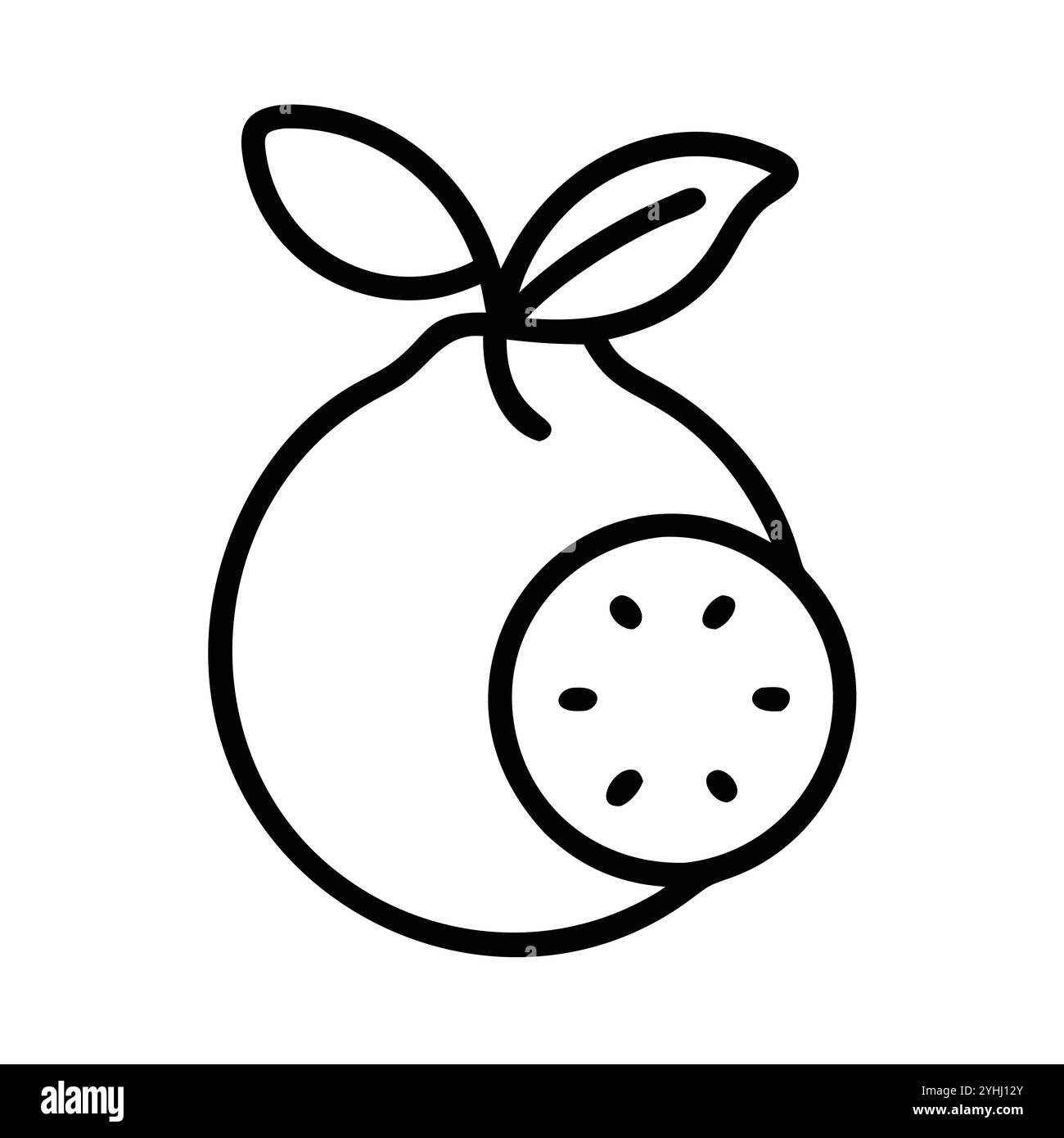 simple vector illustration of a pomelo, in a simple and clean style ...