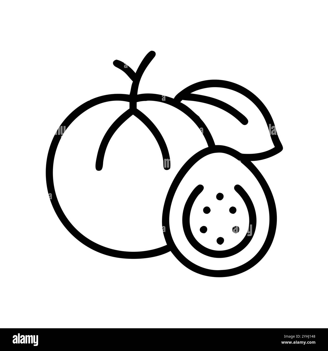 simple vector illustration of a marula, in a simple and clean style ...